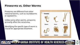 Pin Worms lifecycle, diagnostic method.pptx