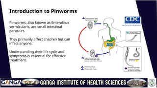 Pin Worms lifecycle, diagnostic method.pptx