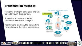 Pin Worms lifecycle, diagnostic method.pptx