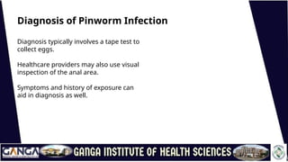 Pin Worms lifecycle, diagnostic method.pptx