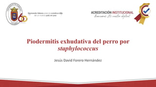 Piodermitis exhudativa del perro por staphylococcus | PPTX