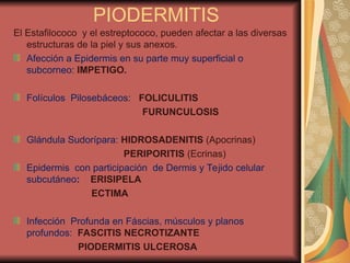 Piodermitis.ppt power point gratis med ppt | PPT