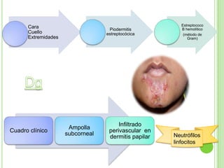 Piodermitis completo | PPTX