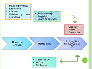 Piodermitis completo | PPTX