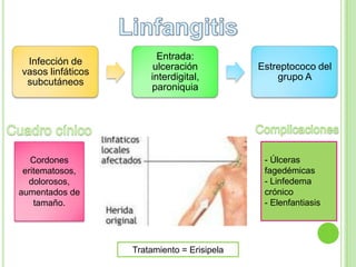 Piodermitis completo | PPTX