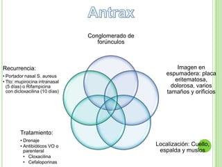Piodermitis completo | PPTX