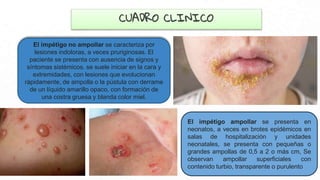 PIODERMITIS DERMATOLOGIA INFECTOLOGIA.INFECTOLOGIA | PPTX