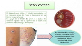 PIODERMITIS DERMATOLOGIA INFECTOLOGIA.INFECTOLOGIA | PPTX