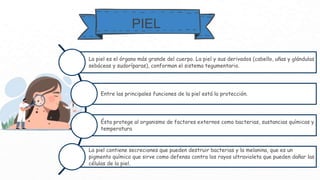 PIODERMITIS DERMATOLOGIA INFECTOLOGIA.INFECTOLOGIA | PPTX