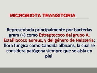 Piodermitis y ectoparasitos | PPT