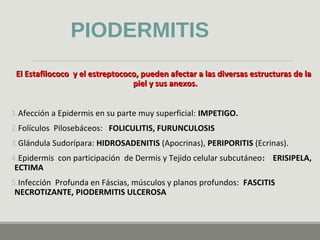 Piodermitis y ectoparasitos | PPT