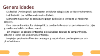 piojos y pulgas en parásitologia ....... | PPTX