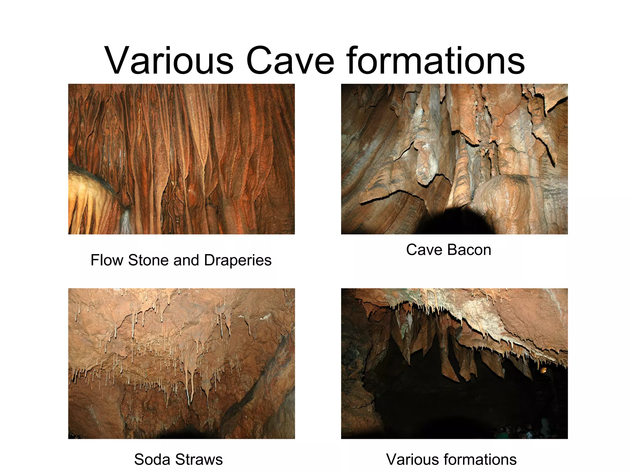Pioneer Field Trip 2008 | PPT
