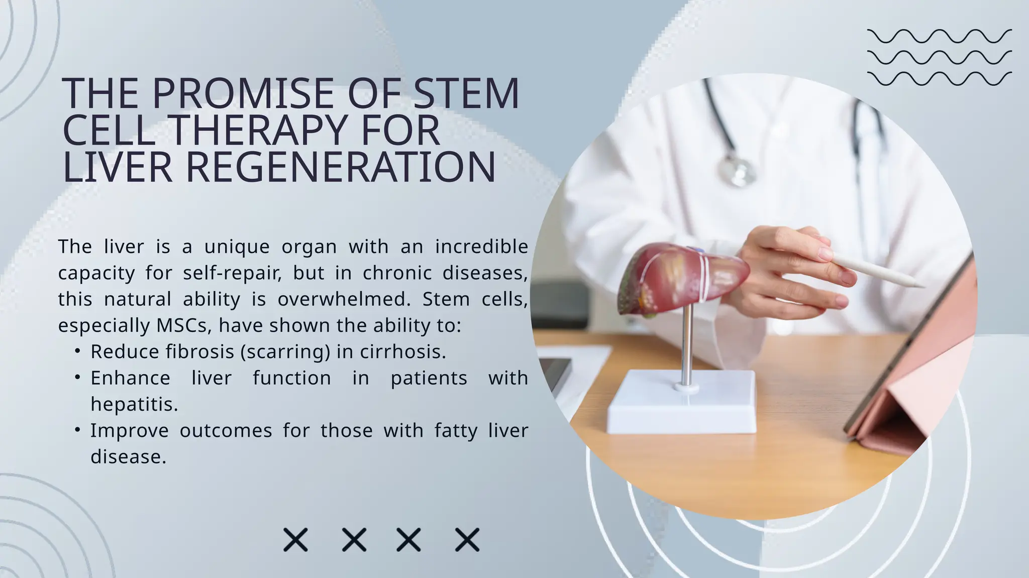 Pioneering Liver Stem Cell Research: Dr. David Greene Arizona ...