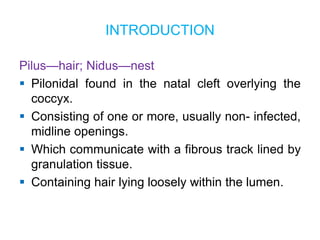 Pionidal sinus | PPT