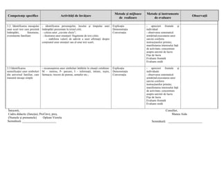 PIP - PLAN DE INTERVENTIE INDIVIDUALIZAT.docx