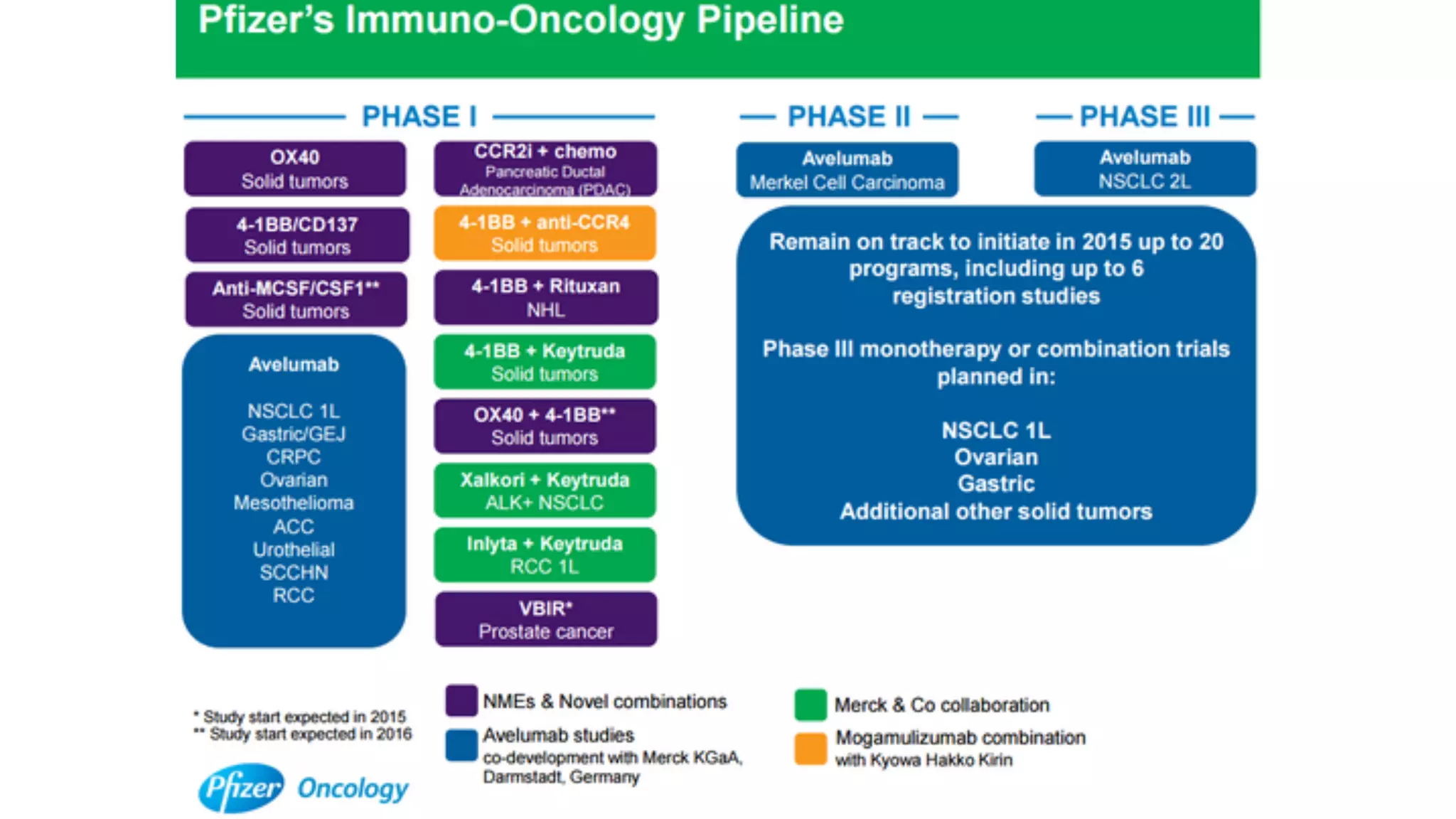 Pipelines immuno-oncology | PDF