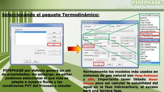 pipephase tutorial.pptx