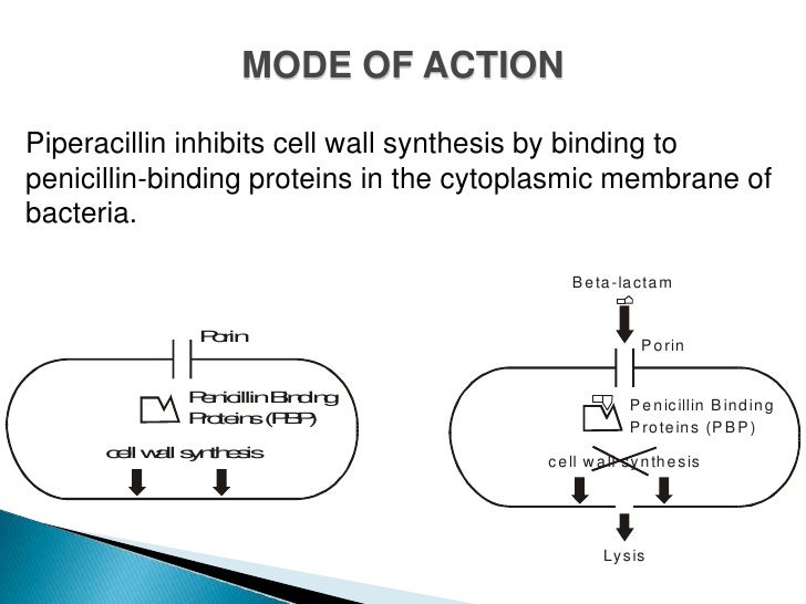 Piperacillin & Tazobactam