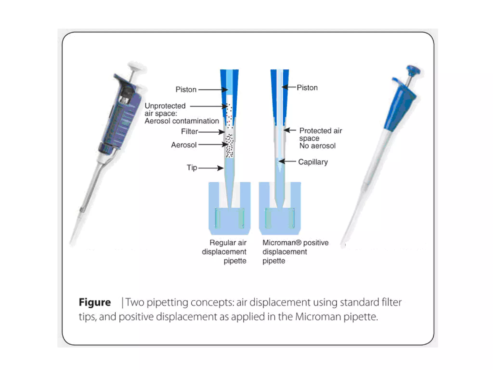 Pipettes | PPT