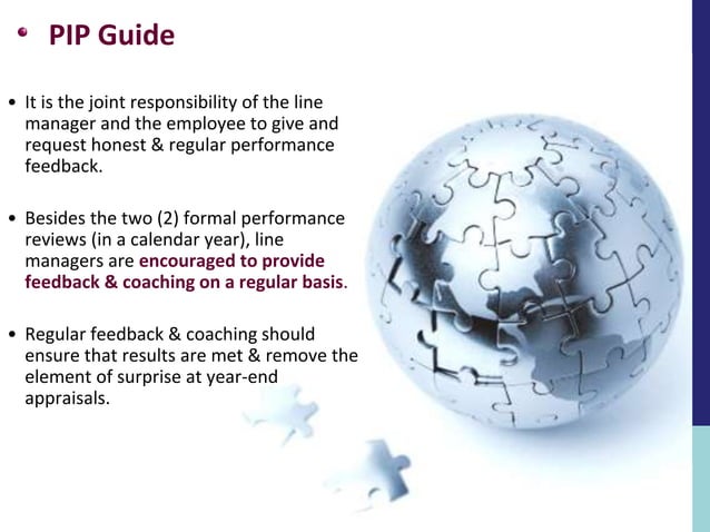 PIP Guide 2008_7April08.ppt | Resume Writing and Advice | Job Search