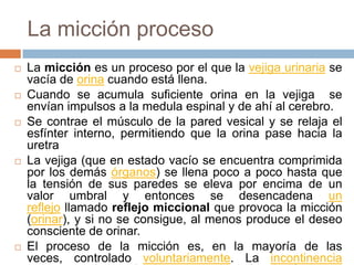 Orina y Miccion | PPT