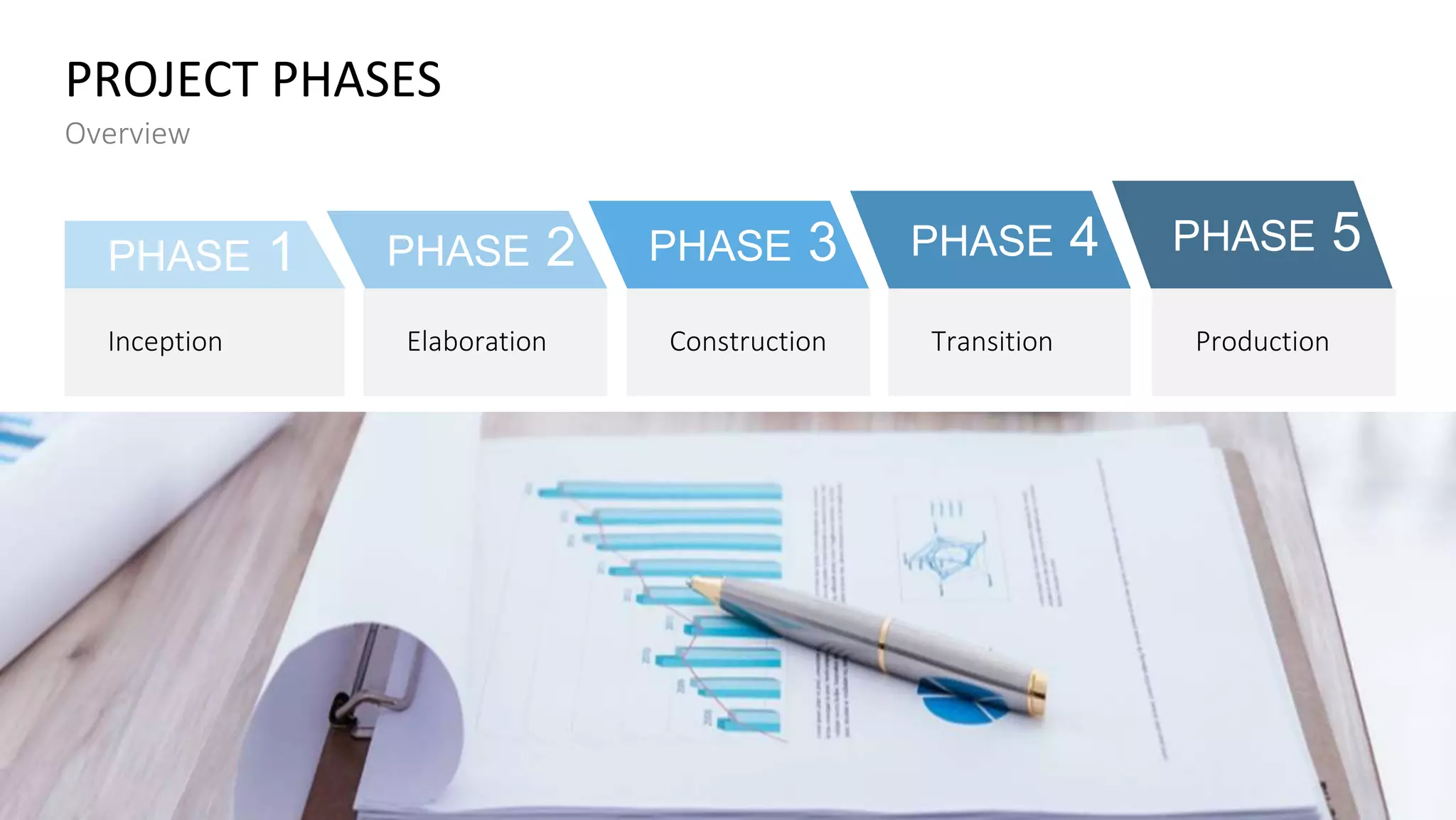 PIPL-EPCC-Oracle EBS R12-eProcurement and Supplier Portal-Project Status Report.pptx