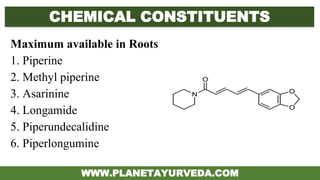 Pippali - Complete Guide to the Ayurvedic Herb.pdf