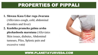 Pippali - Complete Guide to the Ayurvedic Herb.pdf