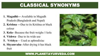 Pippali - Complete Guide to the Ayurvedic Herb.pdf