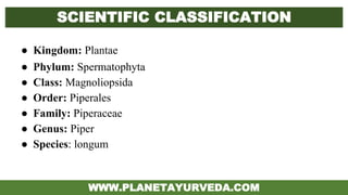 Pippali - Complete Guide to the Ayurvedic Herb.pdf