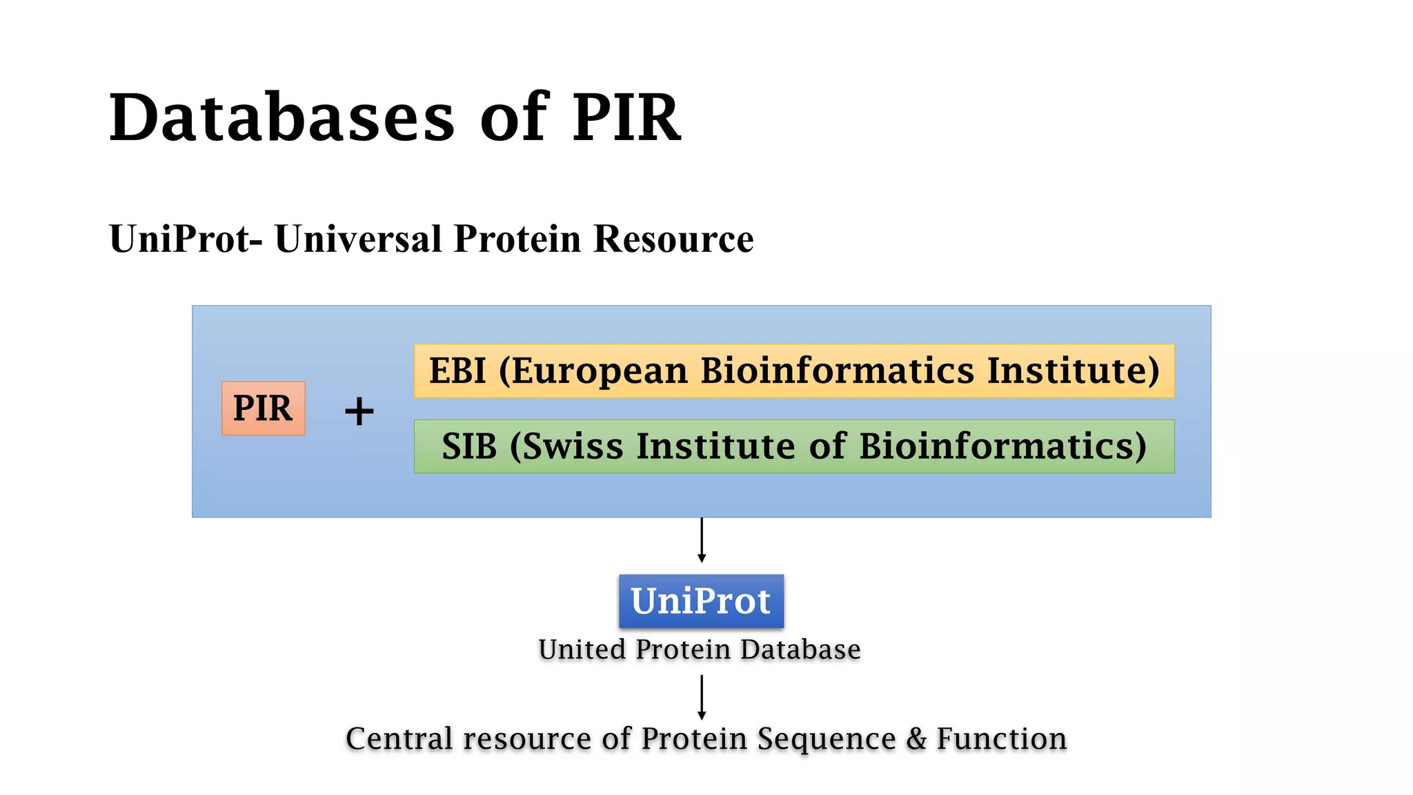 PIR- Protein Information Resource | PDF