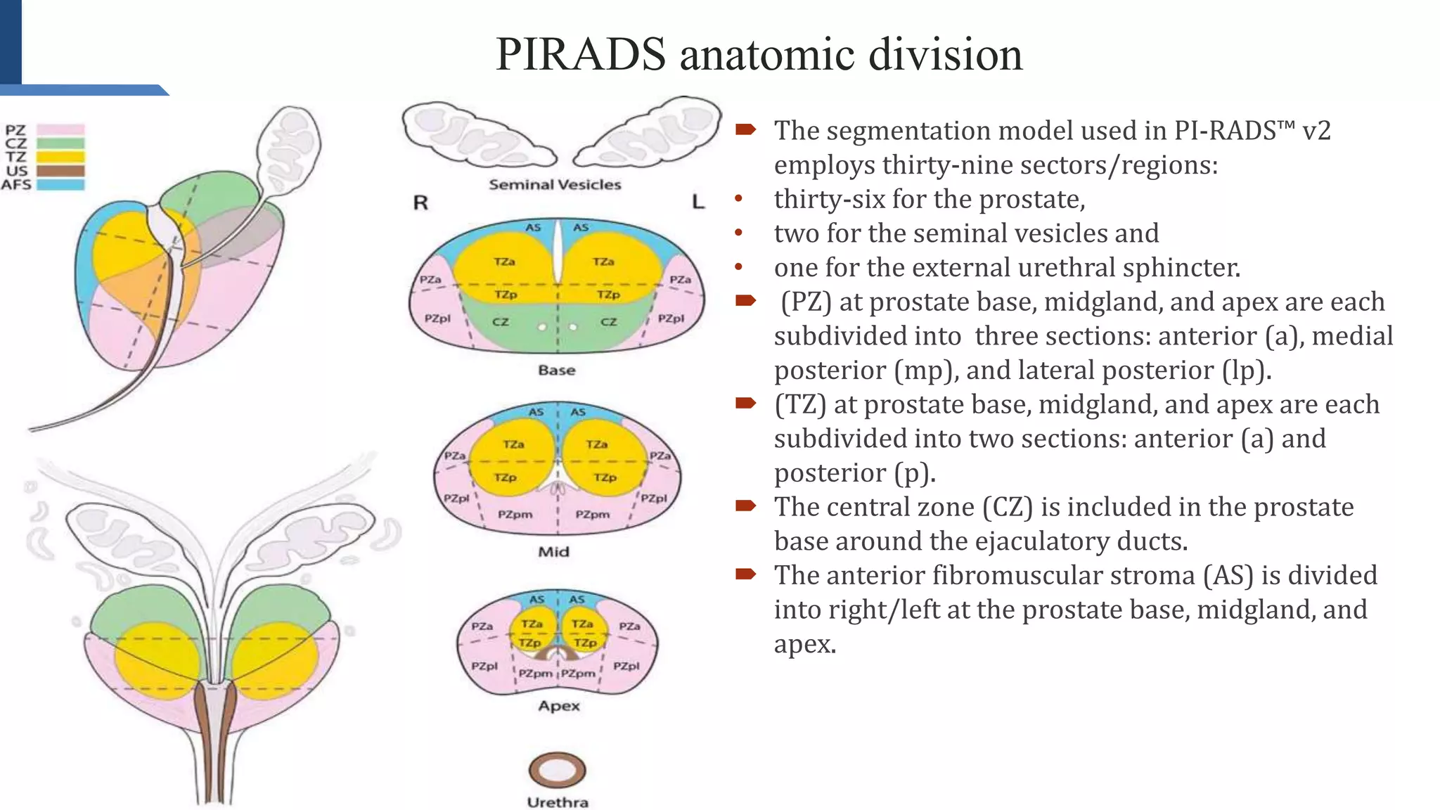 PI RADS v2: An Insight | PPTX