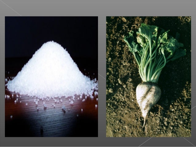 Pirah' presentatin | PPT