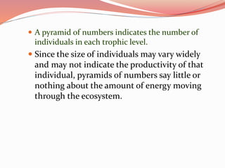 ecological Piramid for eco system | PPTX