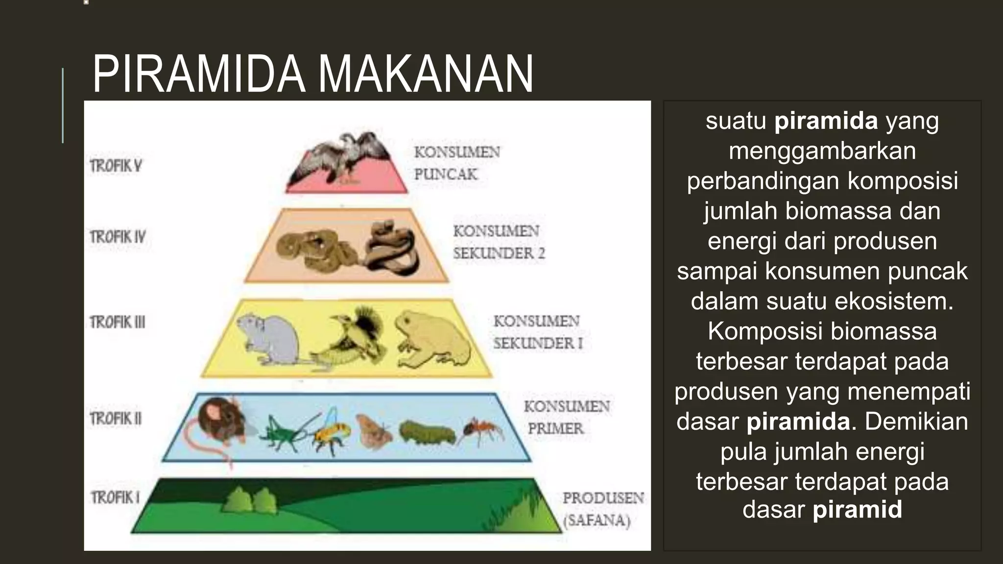 Piramida dan jaring jaring makanan | PPTX