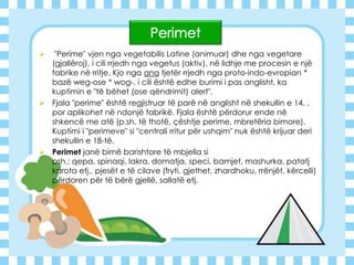 Piramida ushqimore | PPTX