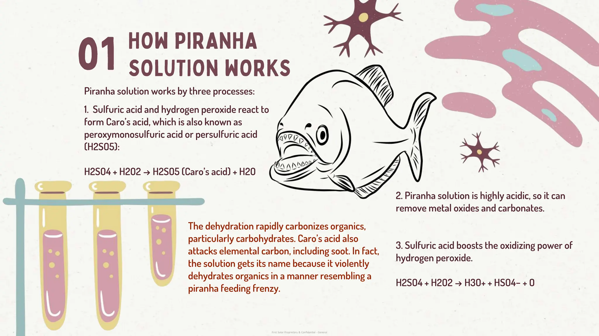 PIRANHA SOLUTION.pptx