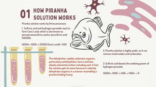 PIRANHA SOLUTION.pptx