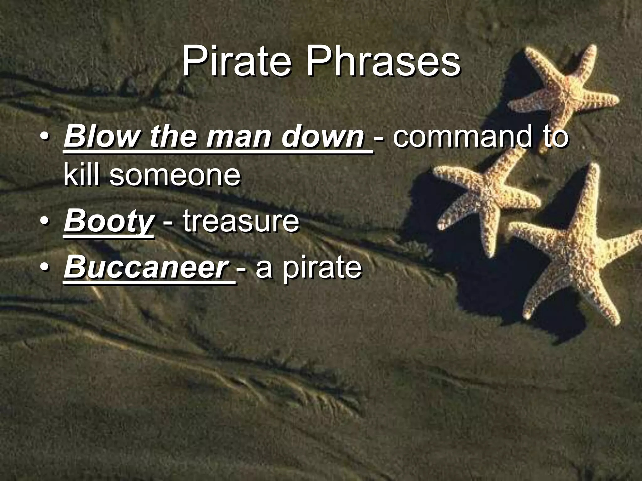 Pirate language | PPTX