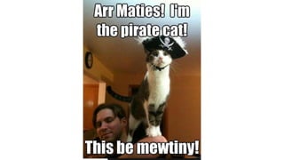 Pirate Memes | PPT