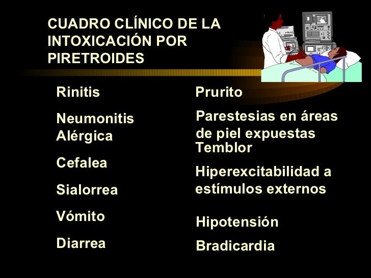 Piretrinas y piretroides