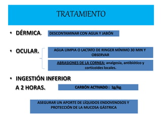 PIRETRINAS_Y_PIRETROIDES.pptx