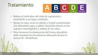 Piretrinas y Piretroides.pptx
