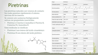 Piretrinas y Piretroides.pptx