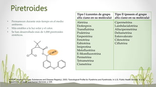 Piretrinas y Piretroides.pptx