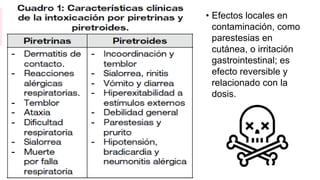 Piretrinas y piretroides.pptx