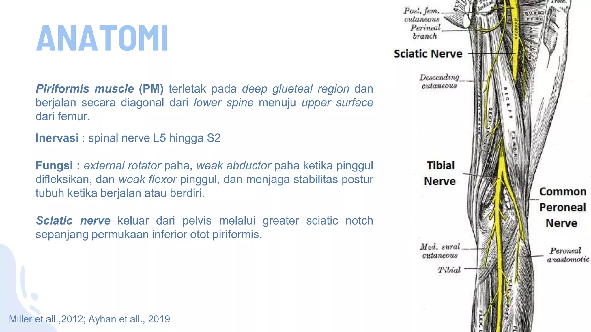 Referat / Pengayaan Piriformis syndrome | PPTX