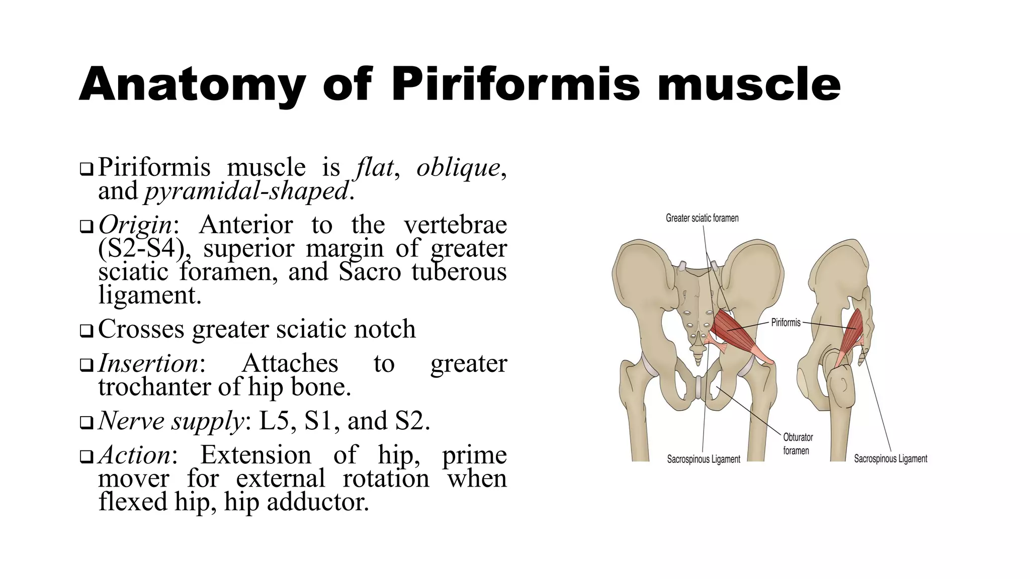 Piriformis Syndrome.pdf