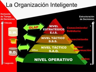 Pirámide organizacional | ODP